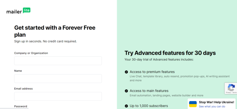 How to Build a High-Converting Email Campaign with Mailerlite